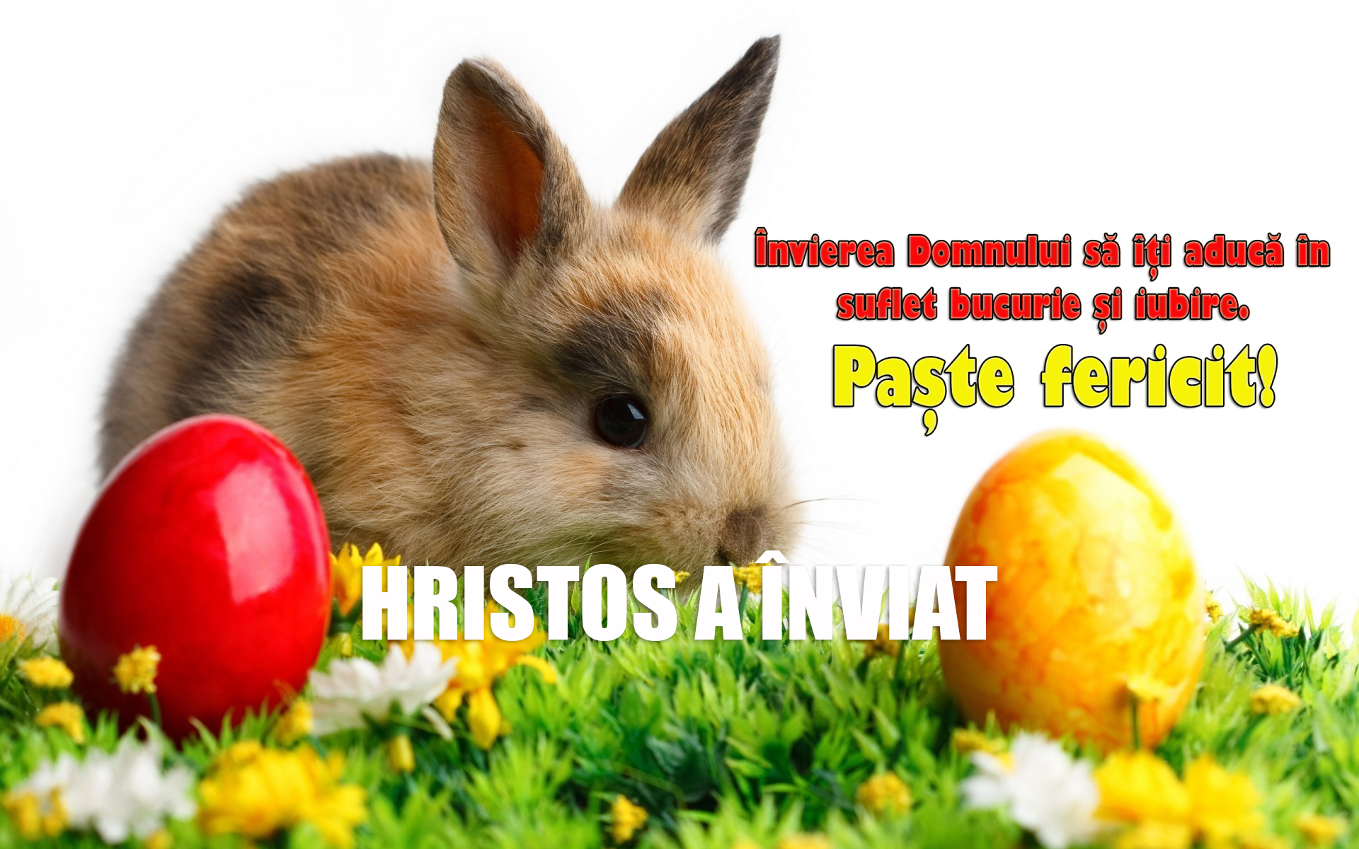 Felicitari de Paste 2023: Urari si mesaje cu imagini de partajat