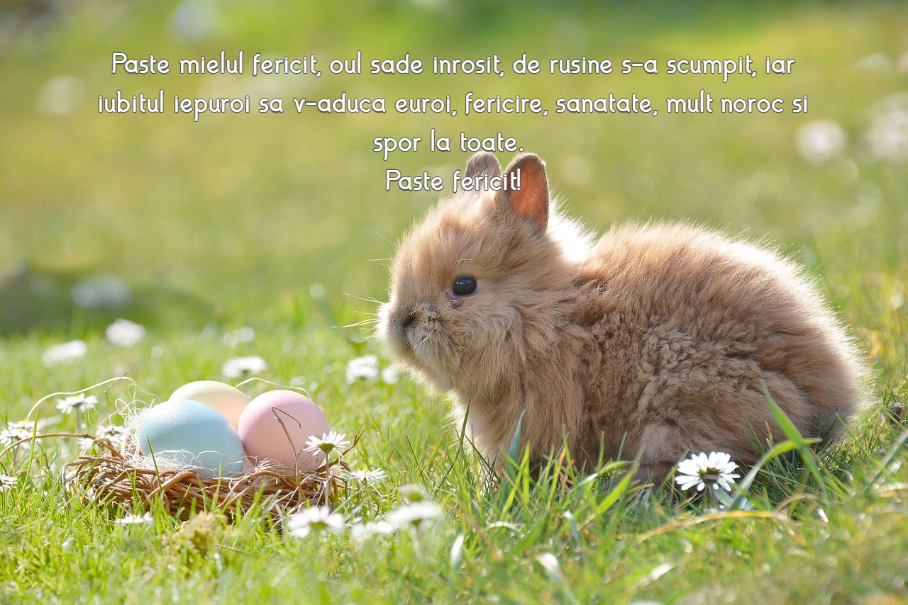 Mesaje de Paste - Surprinde-i pe cei dragi cu aceste urari speciale ...
